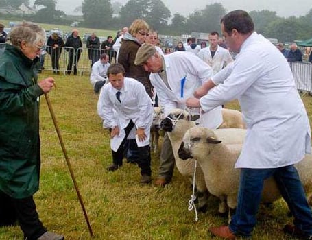 Liskeard Show | cornish-times.co.uk