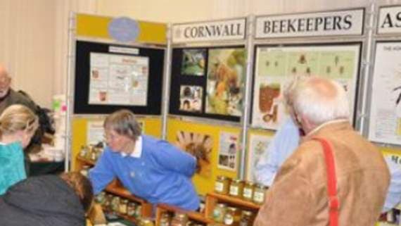 Callington will be buzzing | cornish-times.co.uk