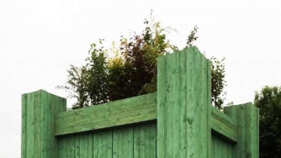 World record for plant tub? | cornish-times.co.uk