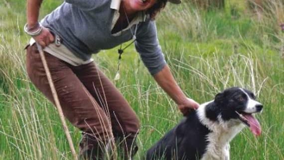 Girl power for show | cornish-times.co.uk