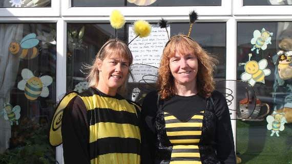 Honey Fair coming to Callington with fun for all the family | cornish ...