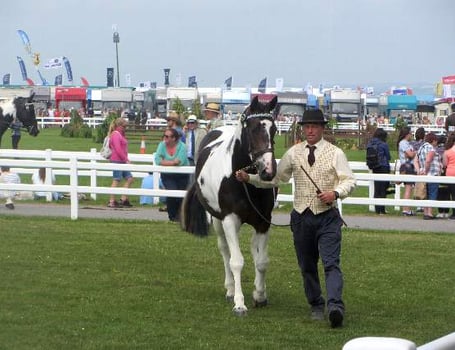 What is the weather like for the Royal Cornwall Show? | cornish-times.co.uk