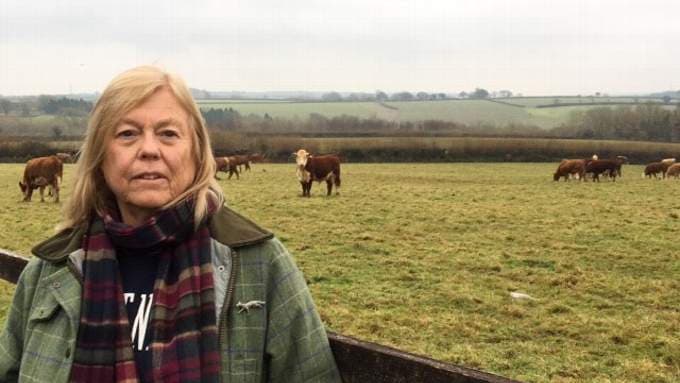 Anger and disappointment at meeting as inspector allows housing ...