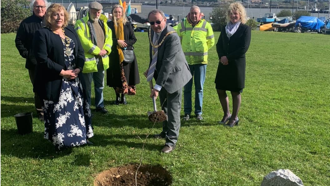 Mayor of Saltash plants a Darley Oak sapling to mark the Queen’s ...