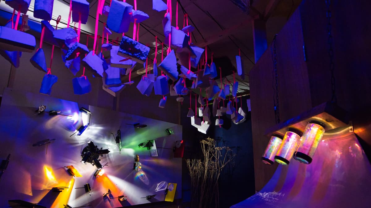 Interactive science exhibition responding to the climate crisis wins ...