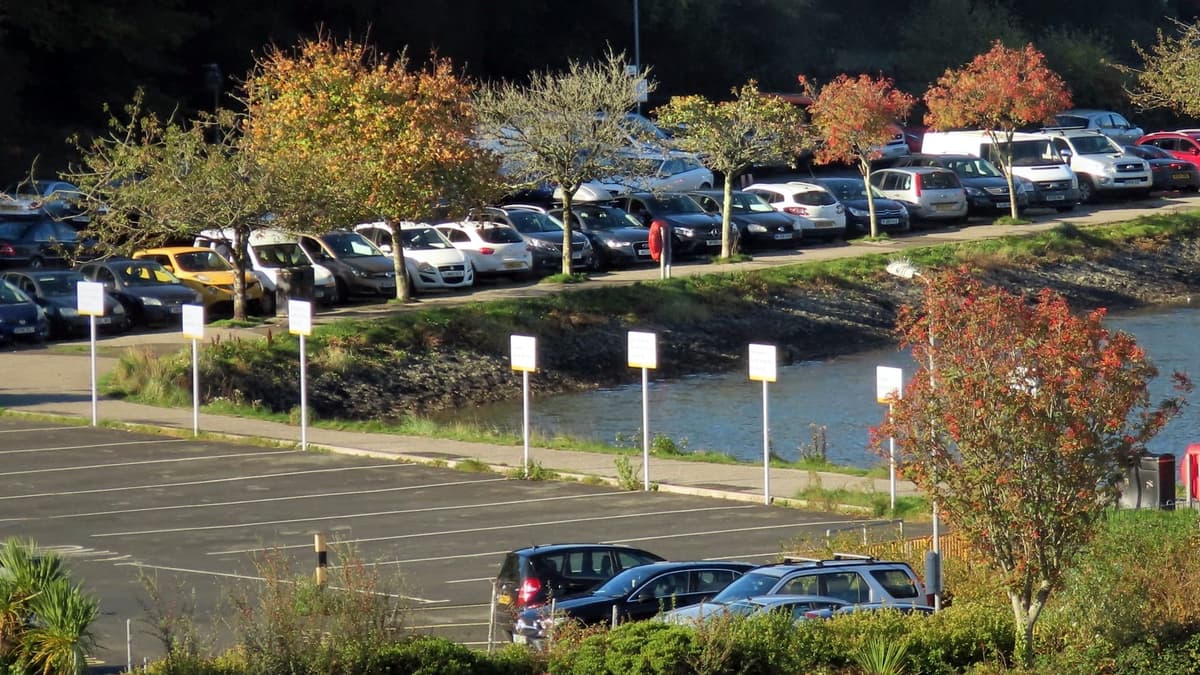 Tree's chopped down in Millpool car park Looe | cornish-times.co.uk
