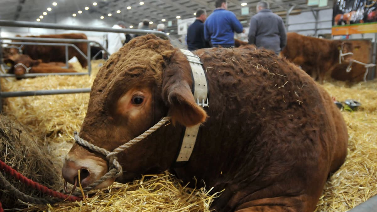 Farming community urges ‘Speak out to Help Out’ | cornish-times.co.uk