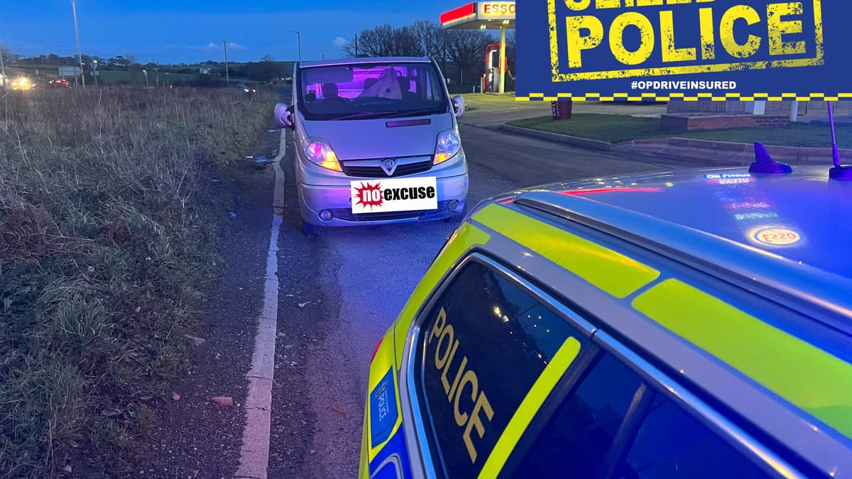 Police pull over delivery van driver without insurance and expired visa ...