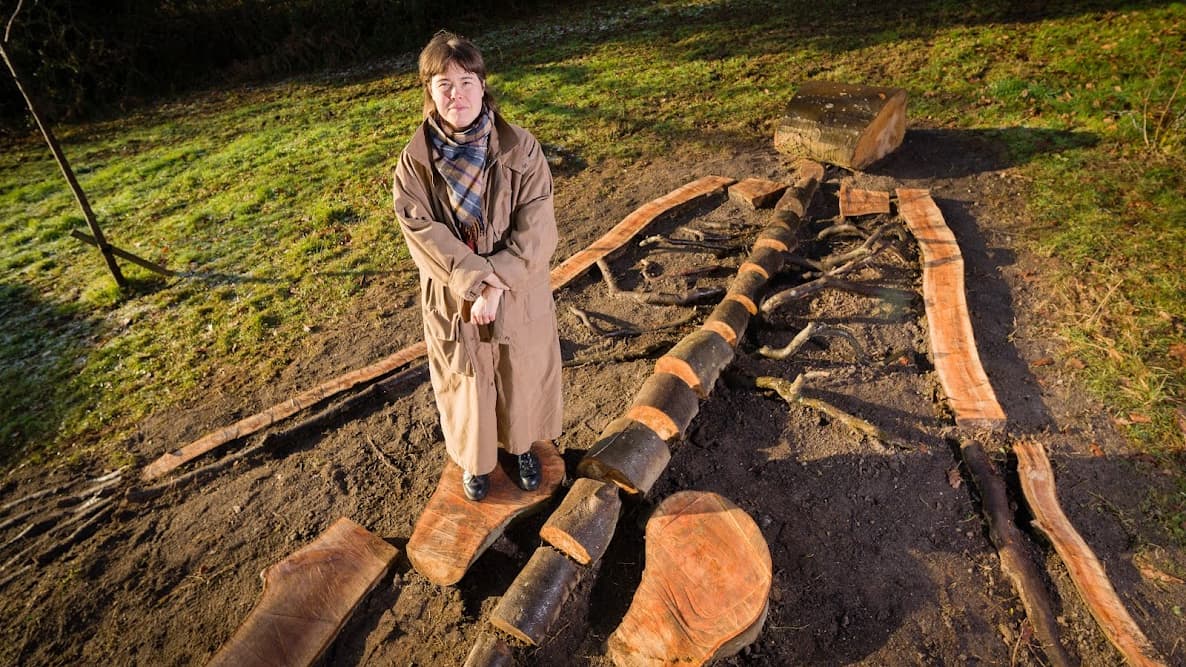 Eden Project welcomes 'giant skeleton' to estate | cornish-times.co.uk