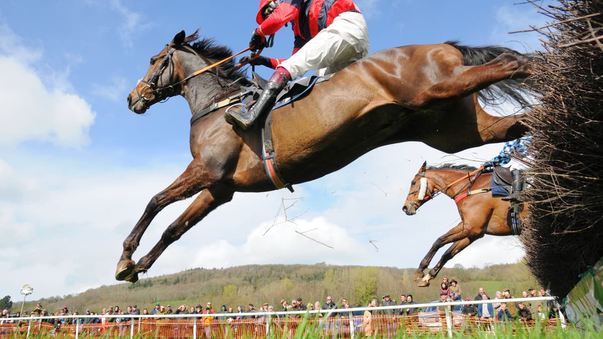 Highlights from a sunny race day at Buckfastleigh Point-to-Point ...