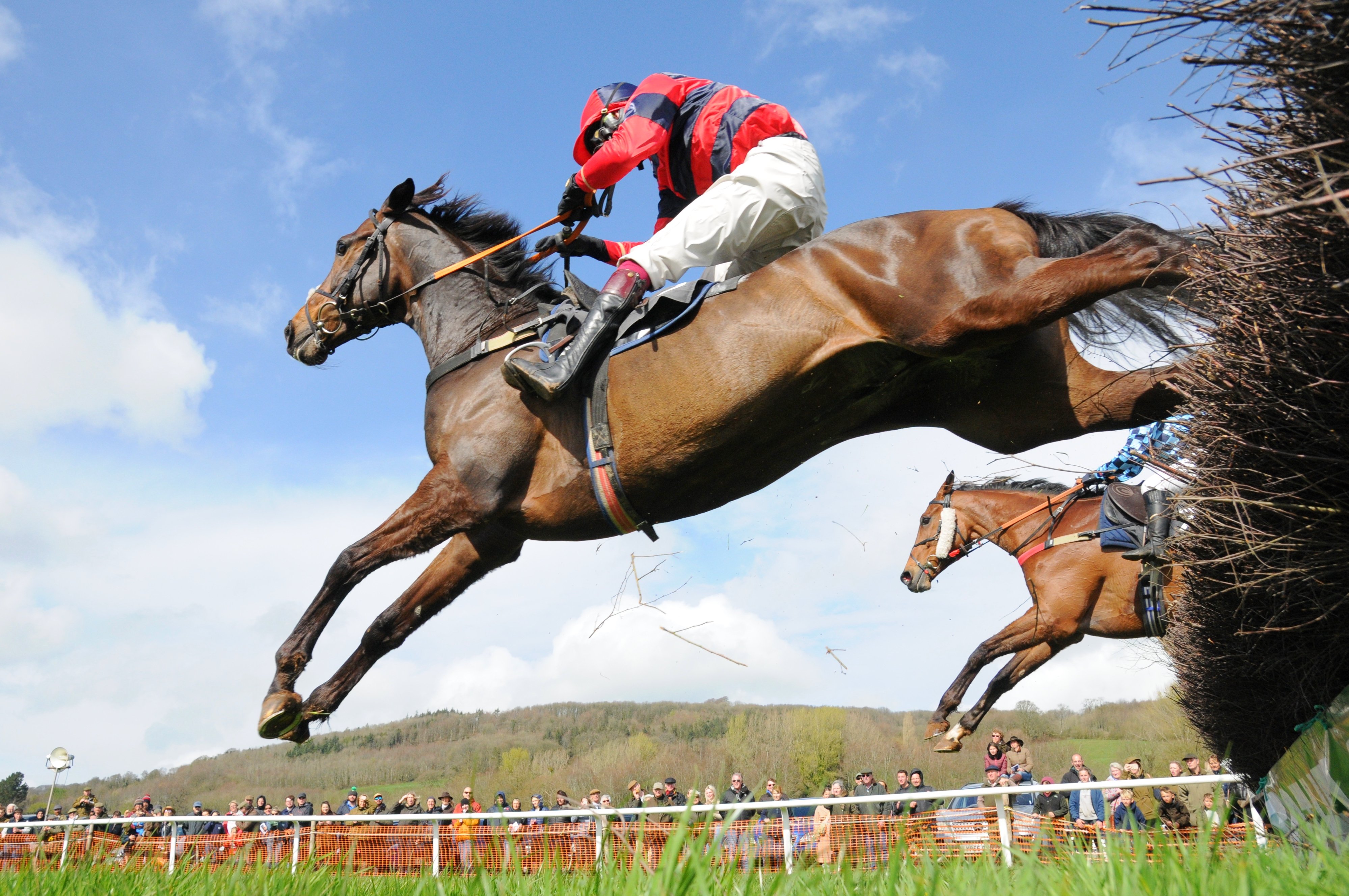 Highlights from a sunny race day at Buckfastleigh Point-to-Point ...