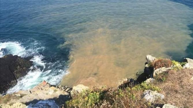 South East Cornwall and North Cornwall among 20 worst areas for sewage ...