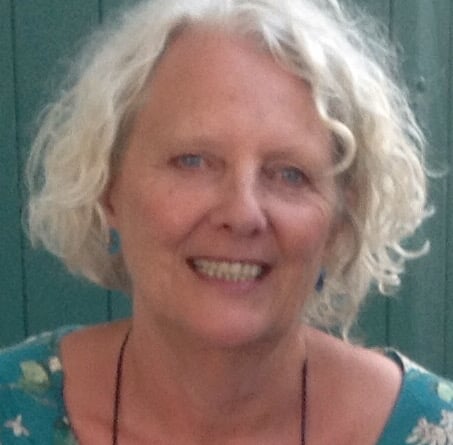 In my view with Sally Sweeney of South East Cornwall Labour Party ...