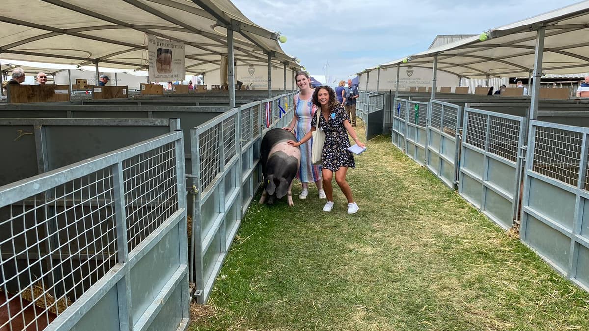 Royal Cornwall Show: All the fun from the morning of Day 2 | cornish ...