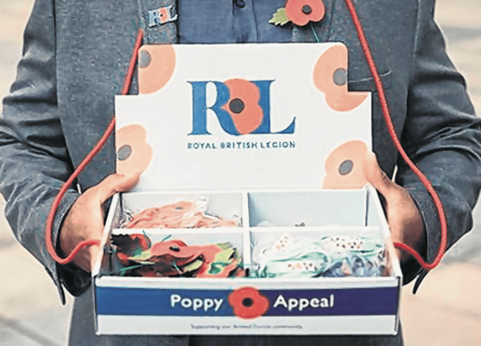 Annual Poppy Appeal campaign launched — find details for your local ...