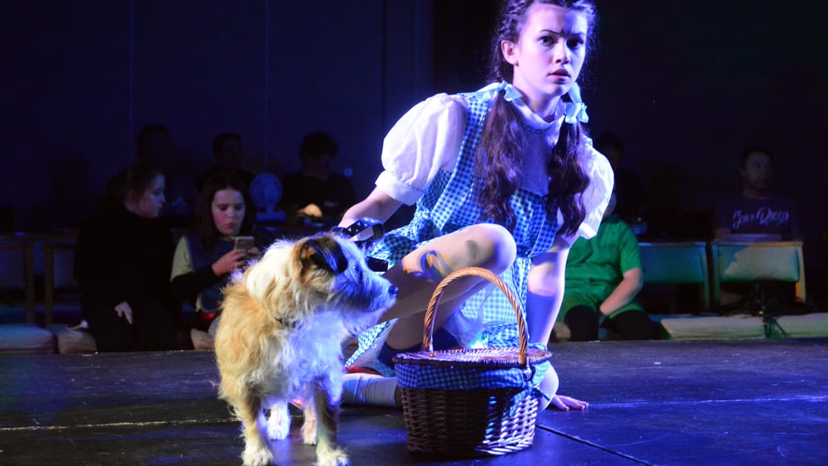 Caradon Youth Theatre to perform the Wizard of Oz | cornish-times.co.uk