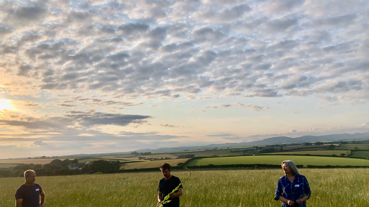 Cornish farmers helping climate and flood resilience in Mevagissey ...