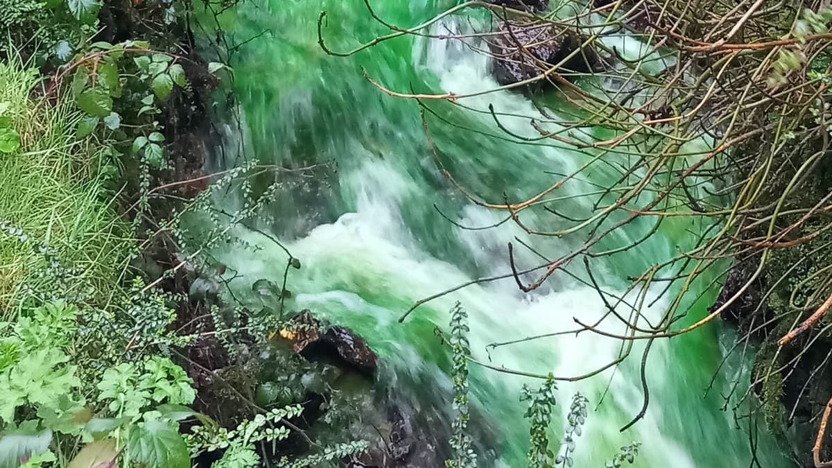 'Harmless' dye turns river fluorescent green | cornish-times.co.uk