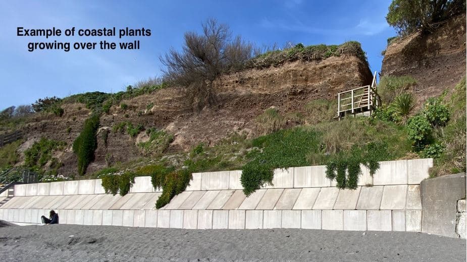 Sea wall planned for vulnerable cliff | cornish-times.co.uk