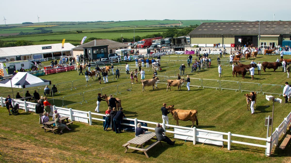 Royal Cornwall Show — the countdown begins | cornish-times.co.uk