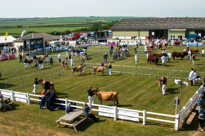 Royal Cornwall Show — the countdown begins | cornish-times.co.uk