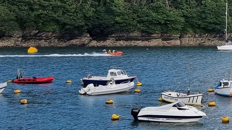 Drama as herd of cattle rescued from sea off Cornwall in early hours on ...