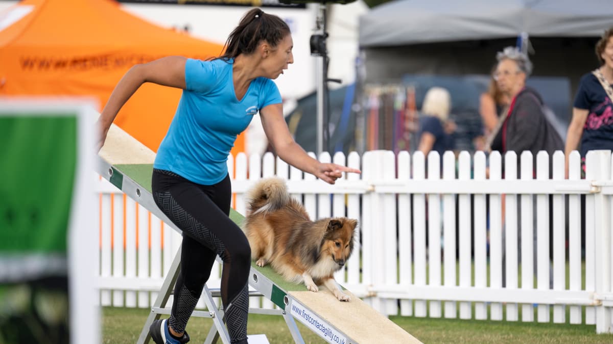 Bodmin dog owner celebrates success at agility festival | cornish-times ...