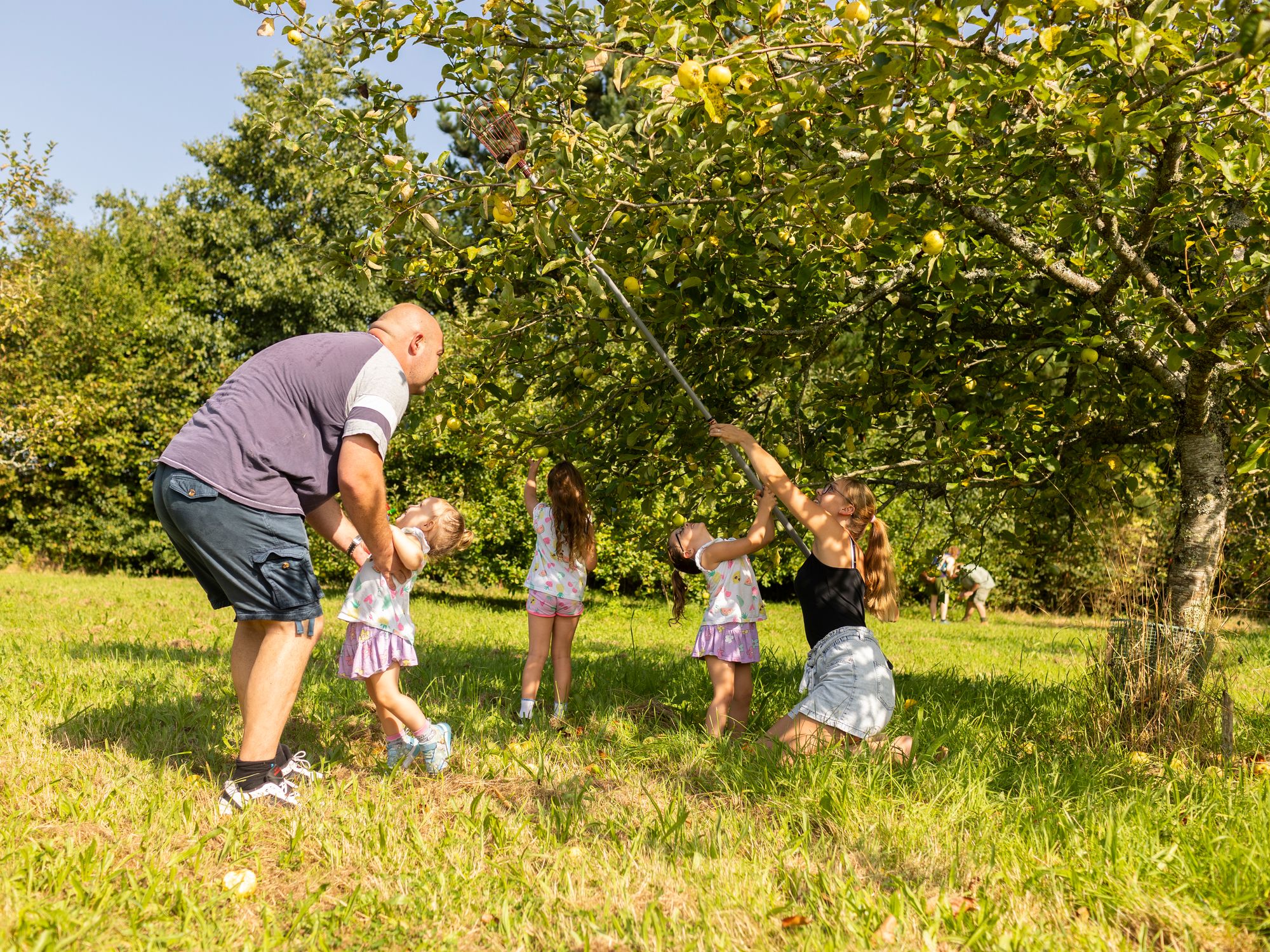 Cotehele apple weekender kicks off National Trust apple celebrations ...