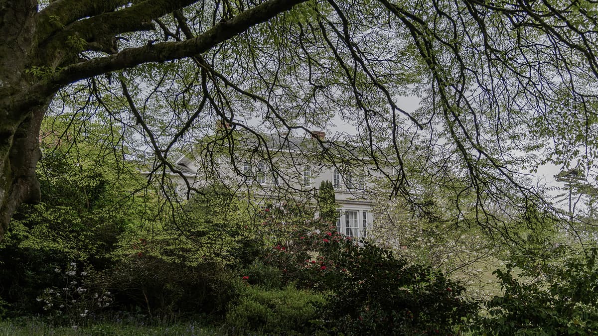 Auction of pieces from Trethill House collection | cornish-times.co.uk