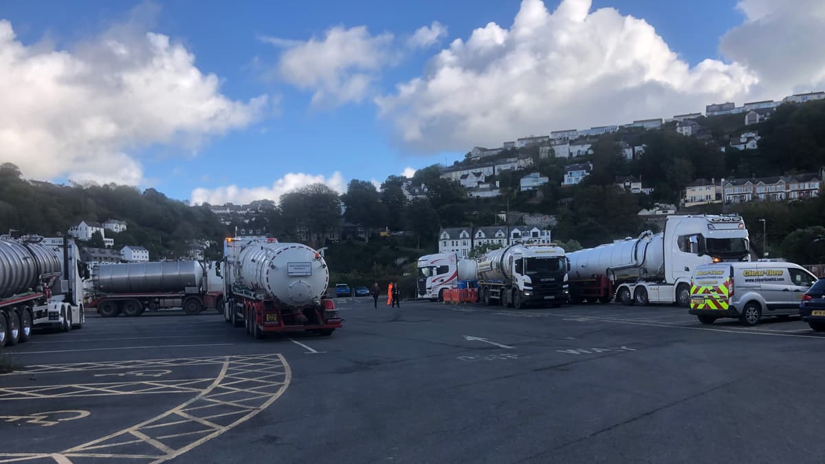 Annual Looe Island swim falls foul of weather and sewage leak incident ...