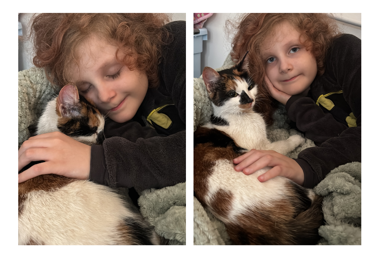 Devastated family of nine-year-old launch plea for return of his 'best ...