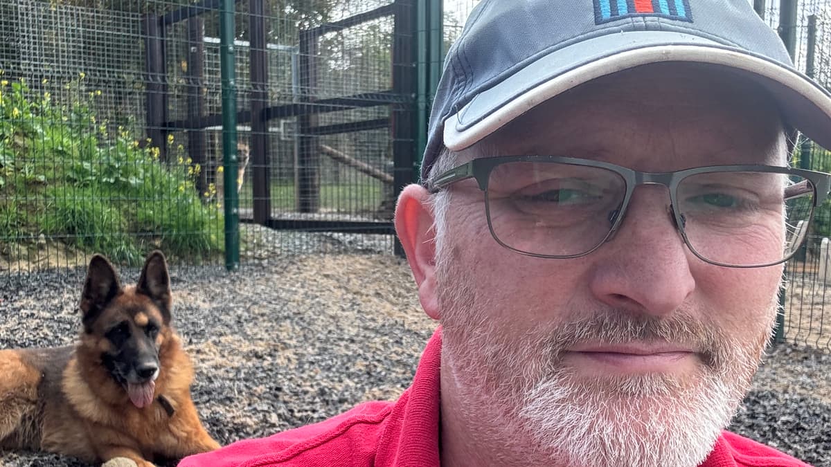 Dog rescue family in flooding appeal | cornish-times.co.uk