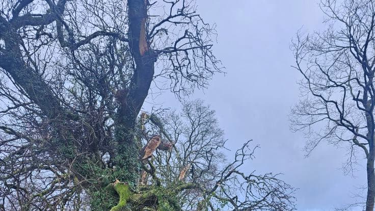 Storm Eowyn: All the weather warnings in place as Cornwall braces for ...