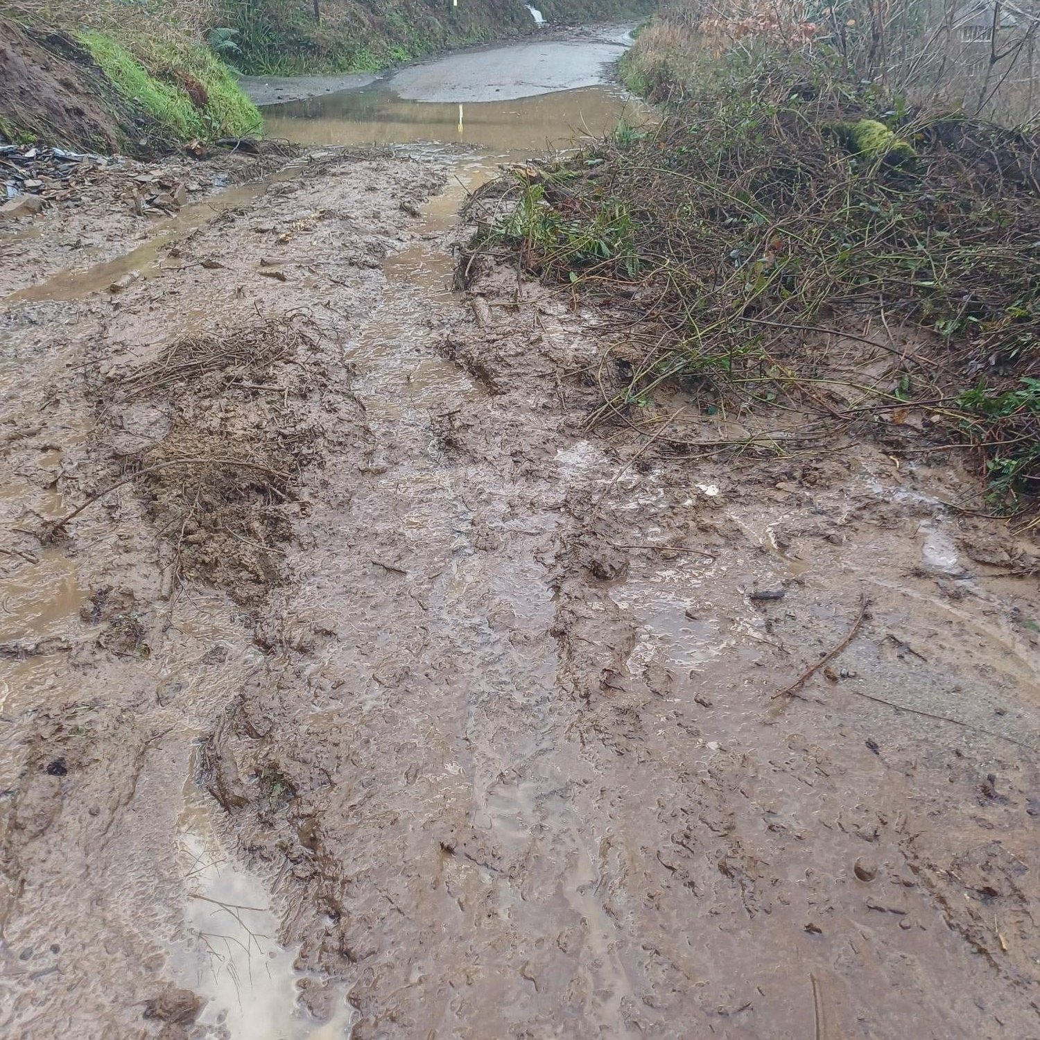 Storms and mini tornado bring chaos to Cornwall | cornish-times.co.uk