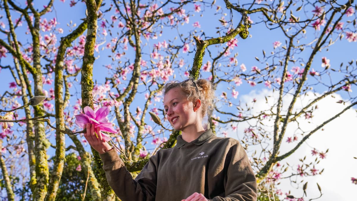 Spring has officially arrived in Cornwall according to folklore as 50 ...