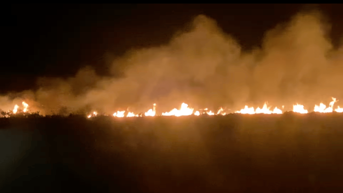 Cornwall Fire Crews Battle Large Moor Blaze Amid Rising Incidents | cornish-times.co.uk