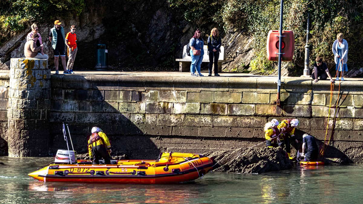 Doggy drama in Looe as local RNLI crew comes to the rescue | cornish-times.co.uk