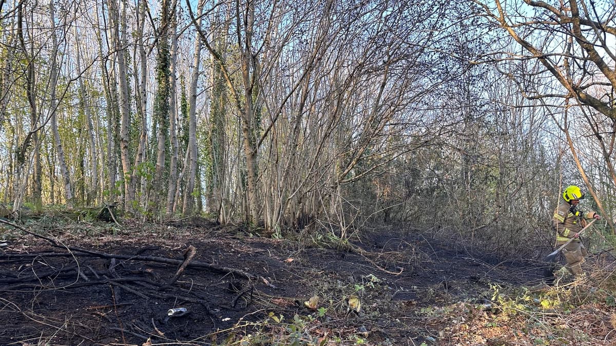 Emergency services hit out at youths who started Saltash fires ...