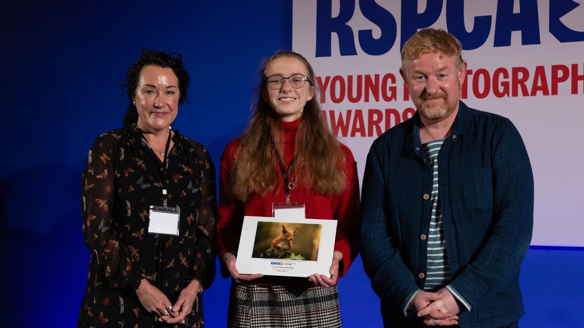 Young Cornish photographers urged to enter prestigious competition ...