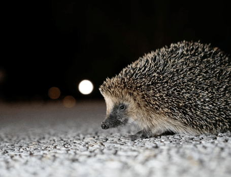 Thea desuza xxx post an amazing finish, she laid me back