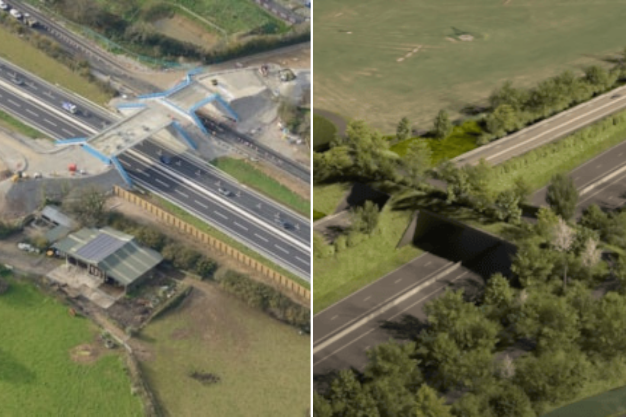 Cornwall's new green bridge enhances wildlife connectivity on A30 ...