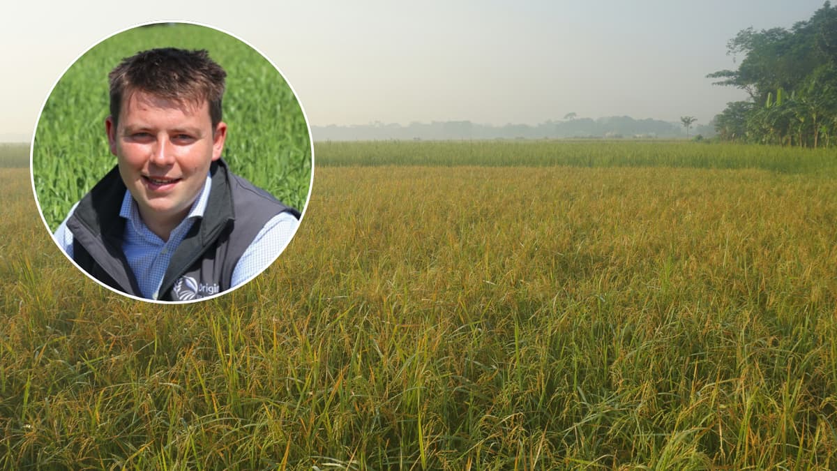 Lower yielding dry spring encourages grass season extension | cornish ...