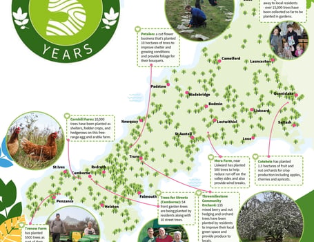 Forest for Cornwall celebrates 1.6-million trees planted in five years ...