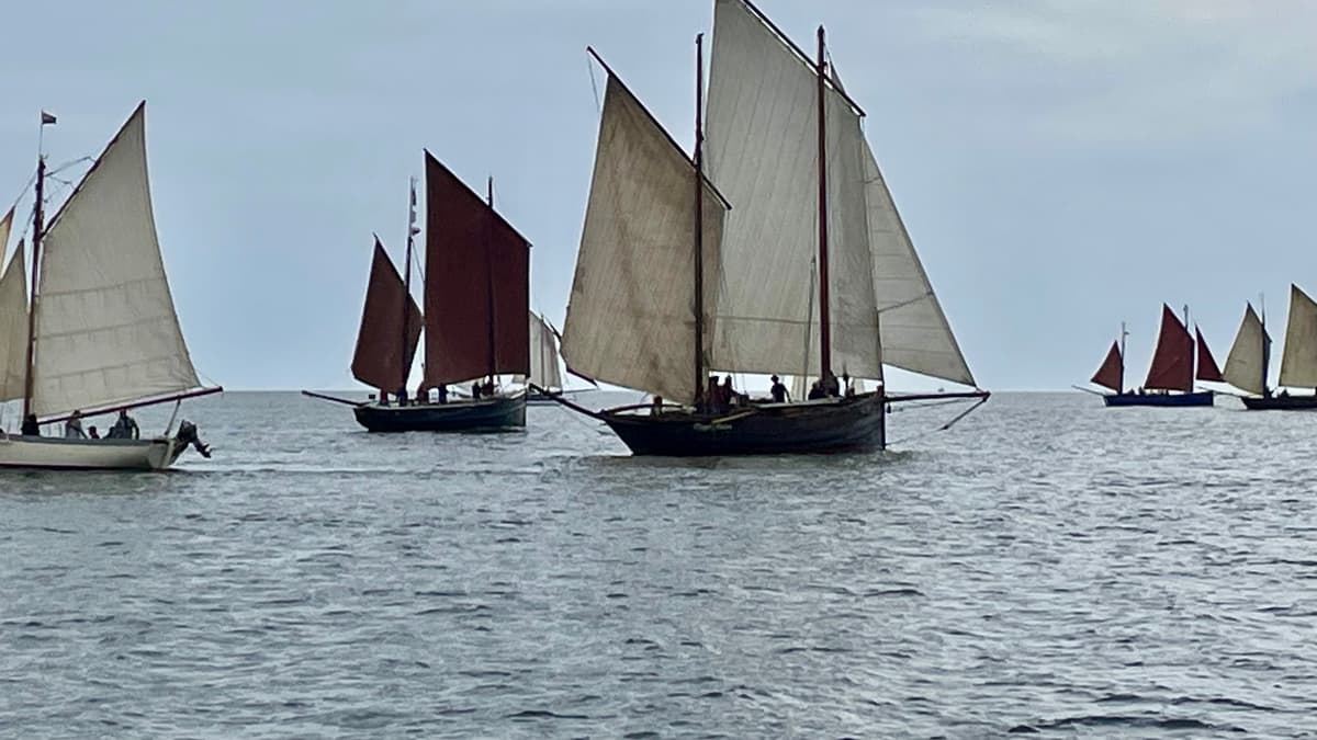 Organisers hail Looe Lugger Classics event as simply 'superb' | cornish ...
