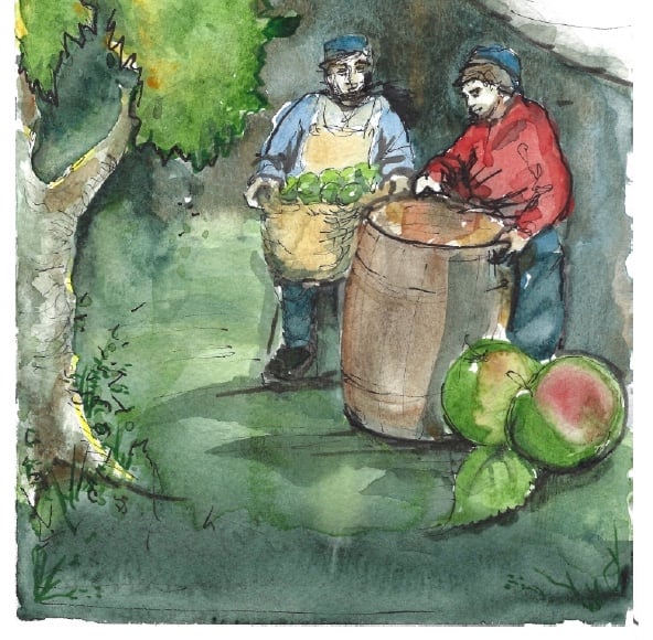 Bus shelter transformation captures Landulph through the seasons ...