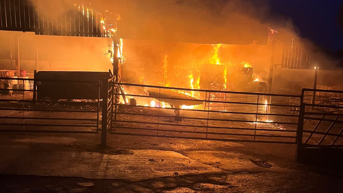 Cornish farmer reflects on effects of devastating fire | cornish-times ...