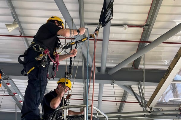 Trapped horse saved from pond in freezing conditions in Cornwall ...