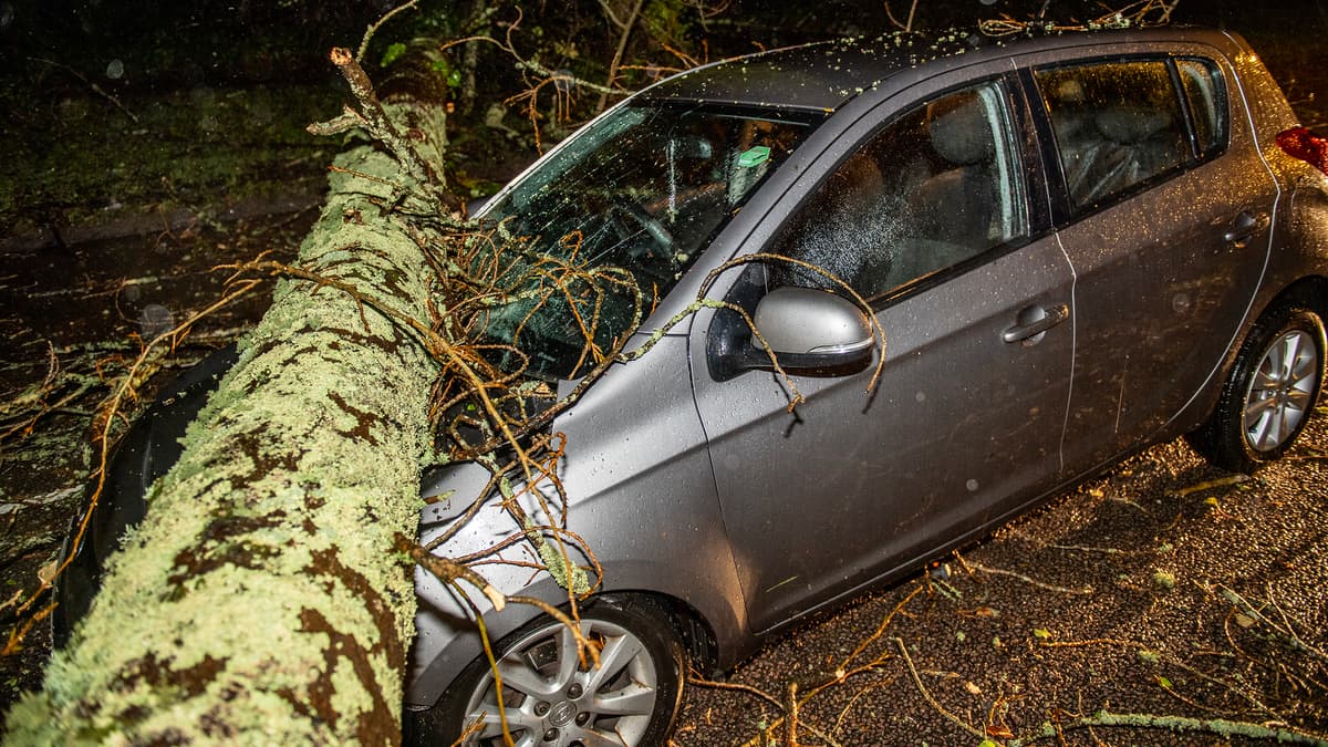 LIVE: Cleanup begins in Cornwall in aftermath of Storm Goretti ...