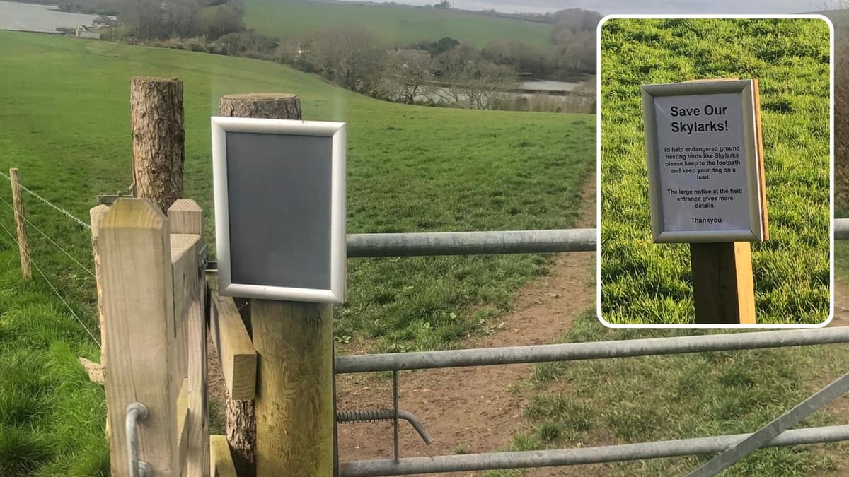 Warning notices removed at Churchtown Farm spark concern | cornish ...