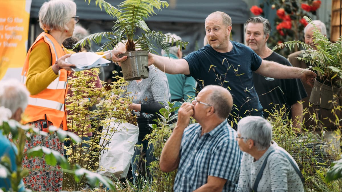 Cornwall's Spring Flower Show 2026: Regeneration and resilience ...